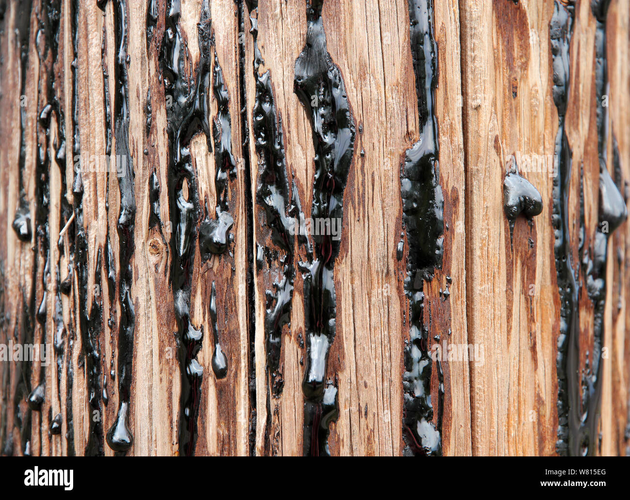 melting Creosote telegraph pole Stock Photo - Alamy