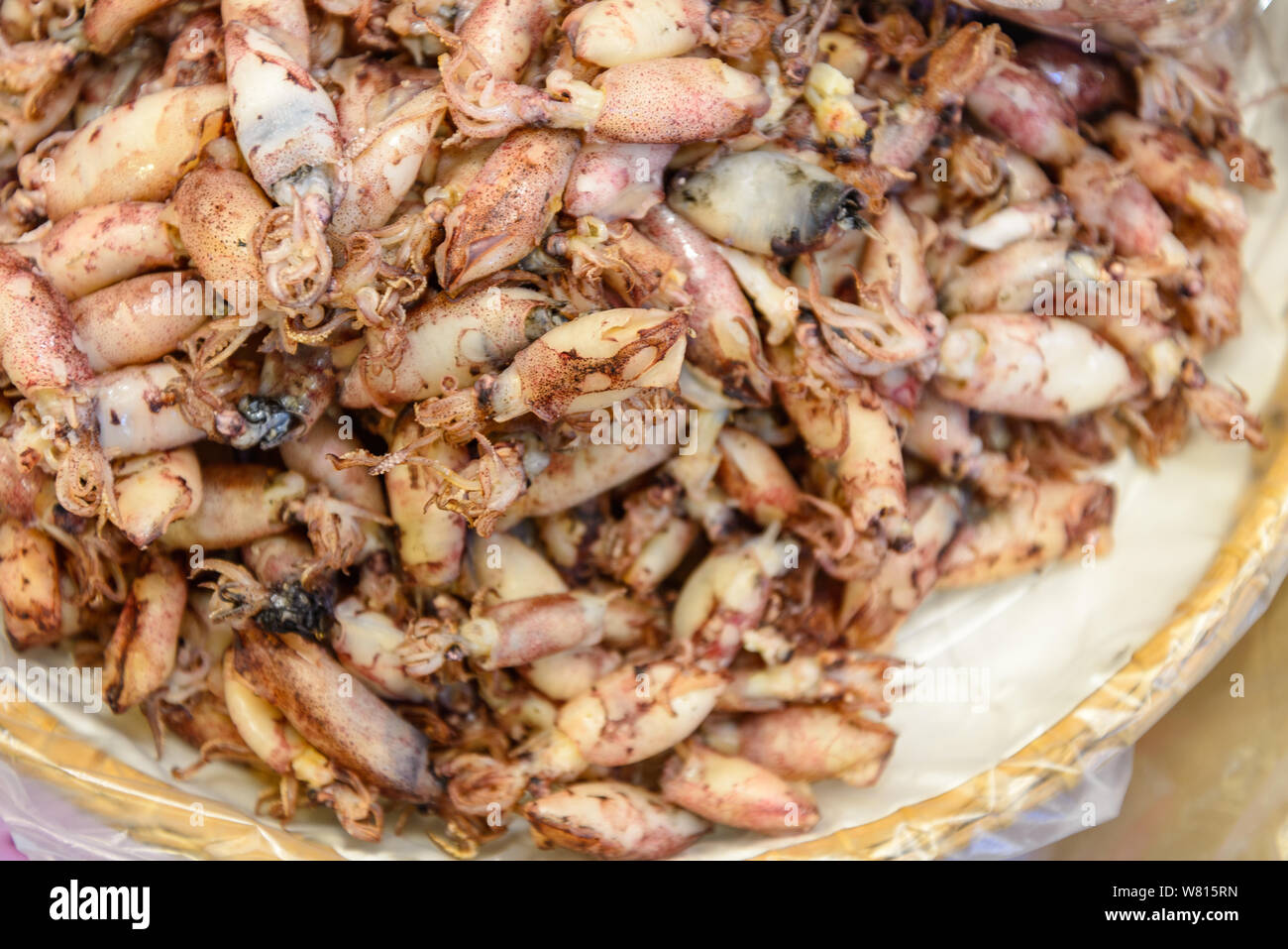 Baby squids hi-res stock photography and images - Alamy