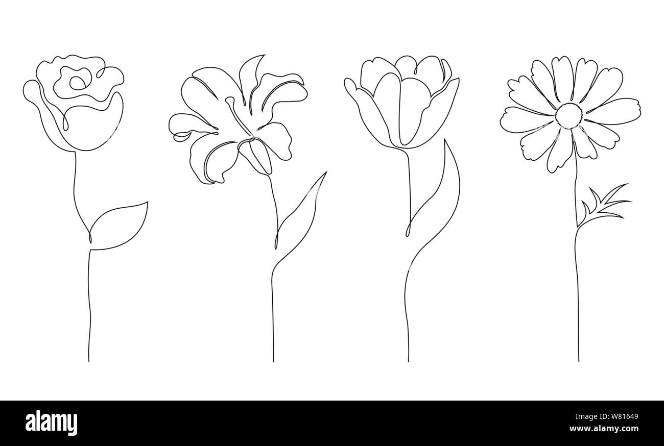 Vector rose flowers continuous Cut Out Stock Images & Pictures - Alamy