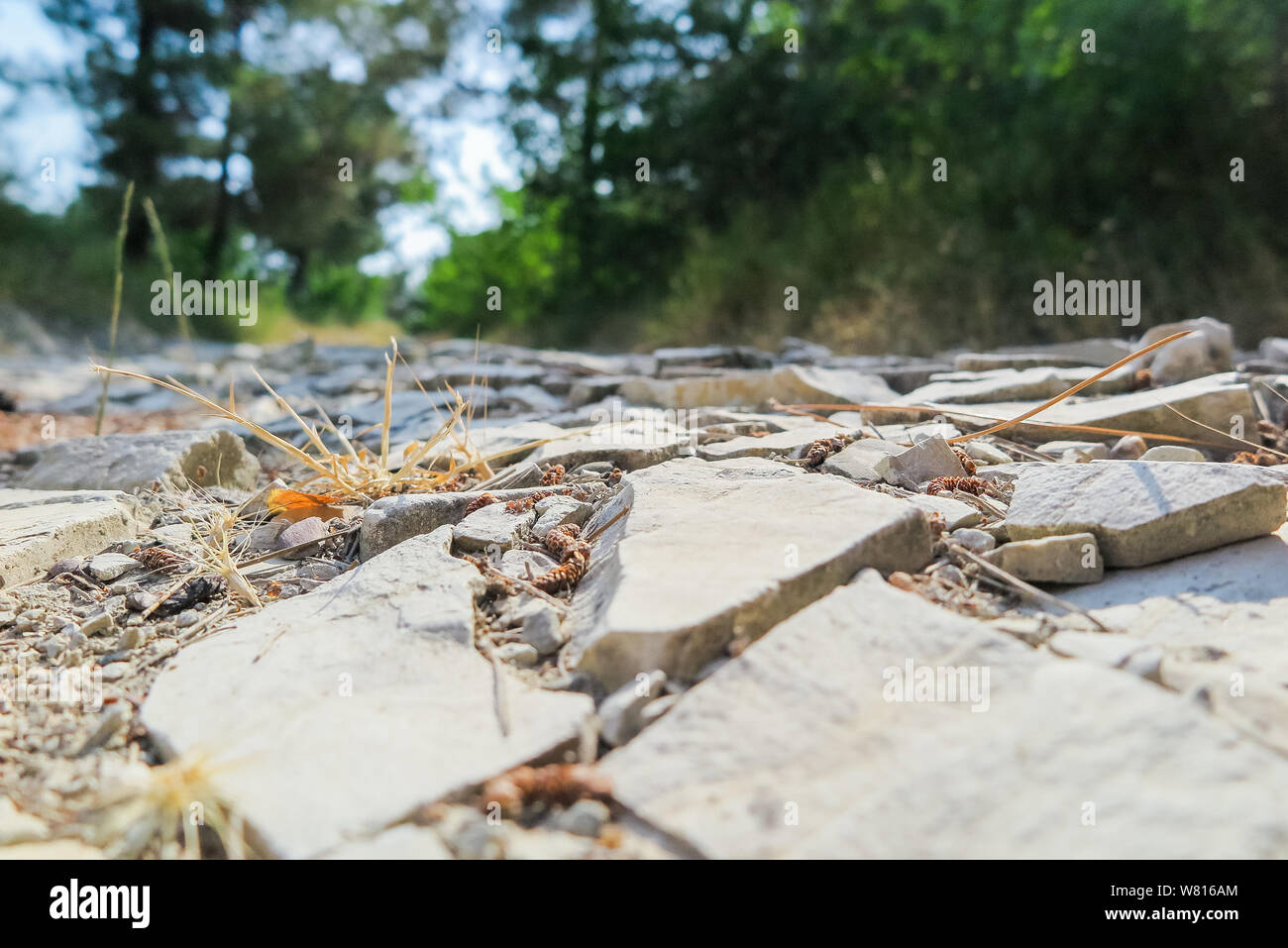 Crushed limestone country road, with various debris. Light grey grunge ...