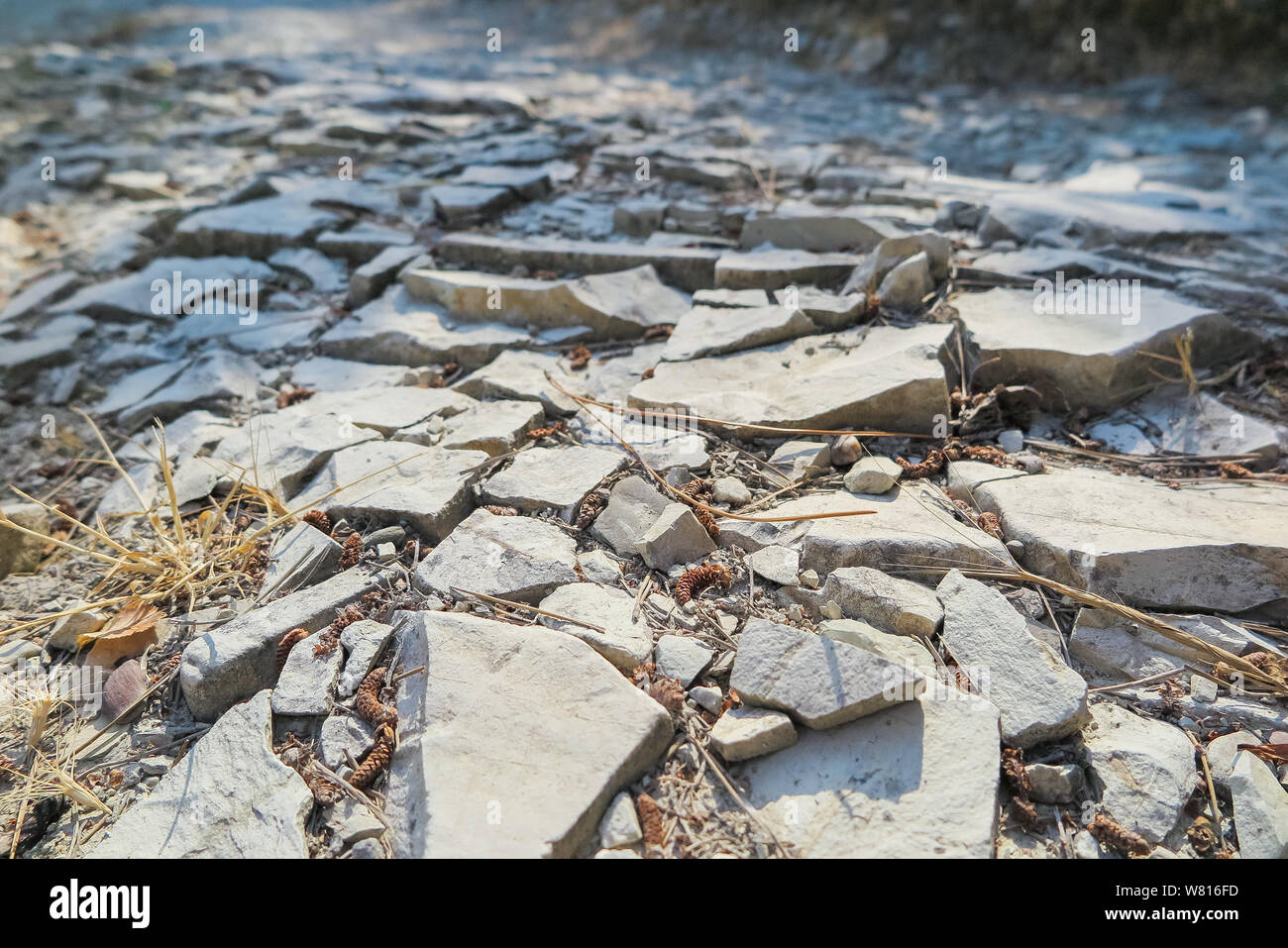 Crushed limestone country road, with various debris. Light grey grunge ...