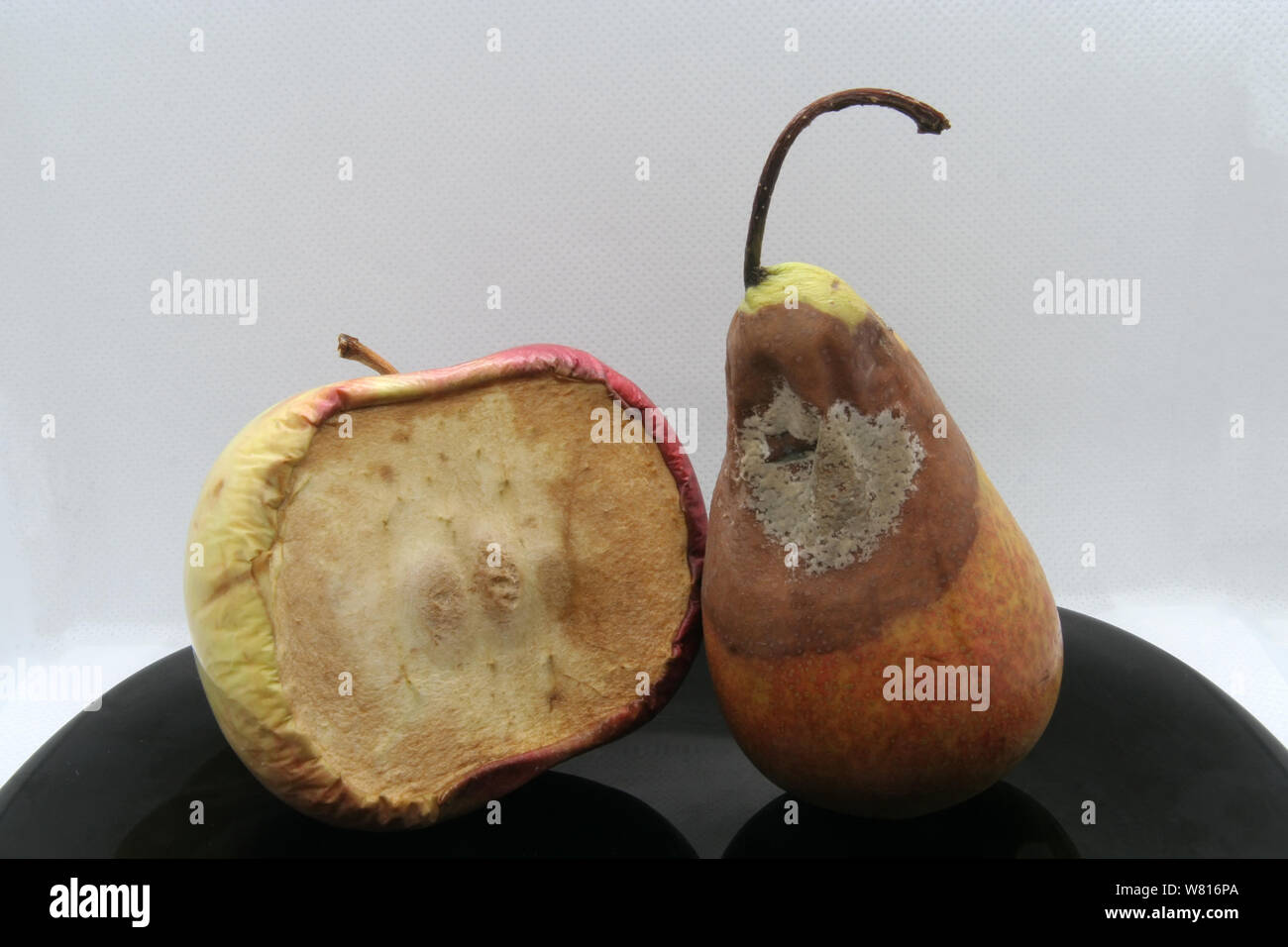Bad fruit. Bad apple and pear. Molded fruit. Molded apple and pear ...