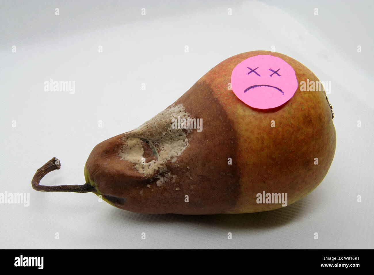 Plant moulds hi-res stock photography and images - Alamy