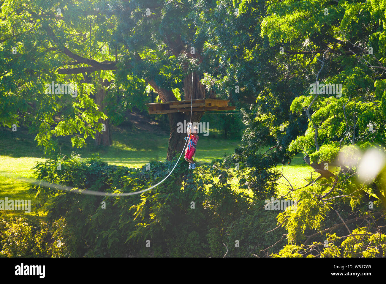 Boy slide over long high zip line between trees Stock Photo - Alamy
