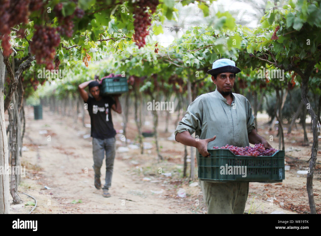 Egyptian farmers hi-res stock photography and images - Alamy