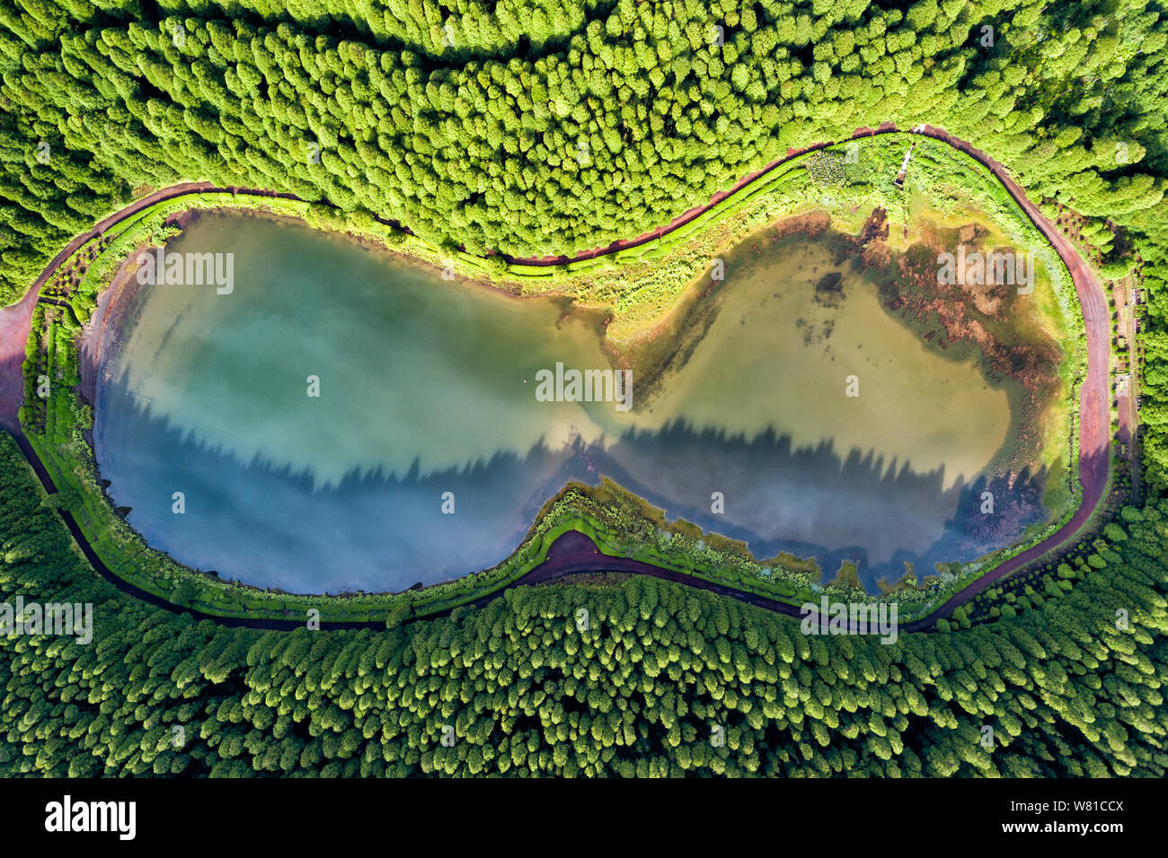 Glasses shaped drone landscape. Top down aerial view of a small pond in ...