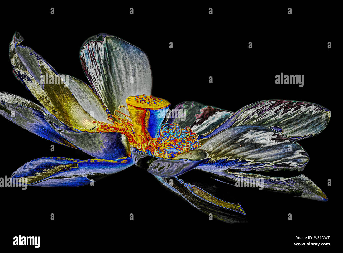 Psychedelic treatment hi-res stock photography and images - Alamy