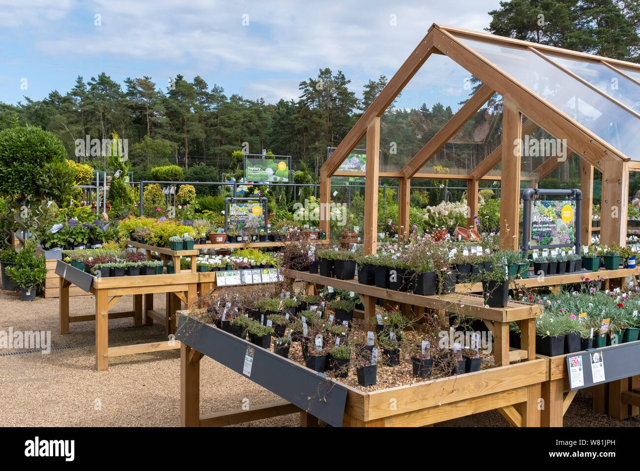 Nursery displays hi-res stock photography and images - Alamy