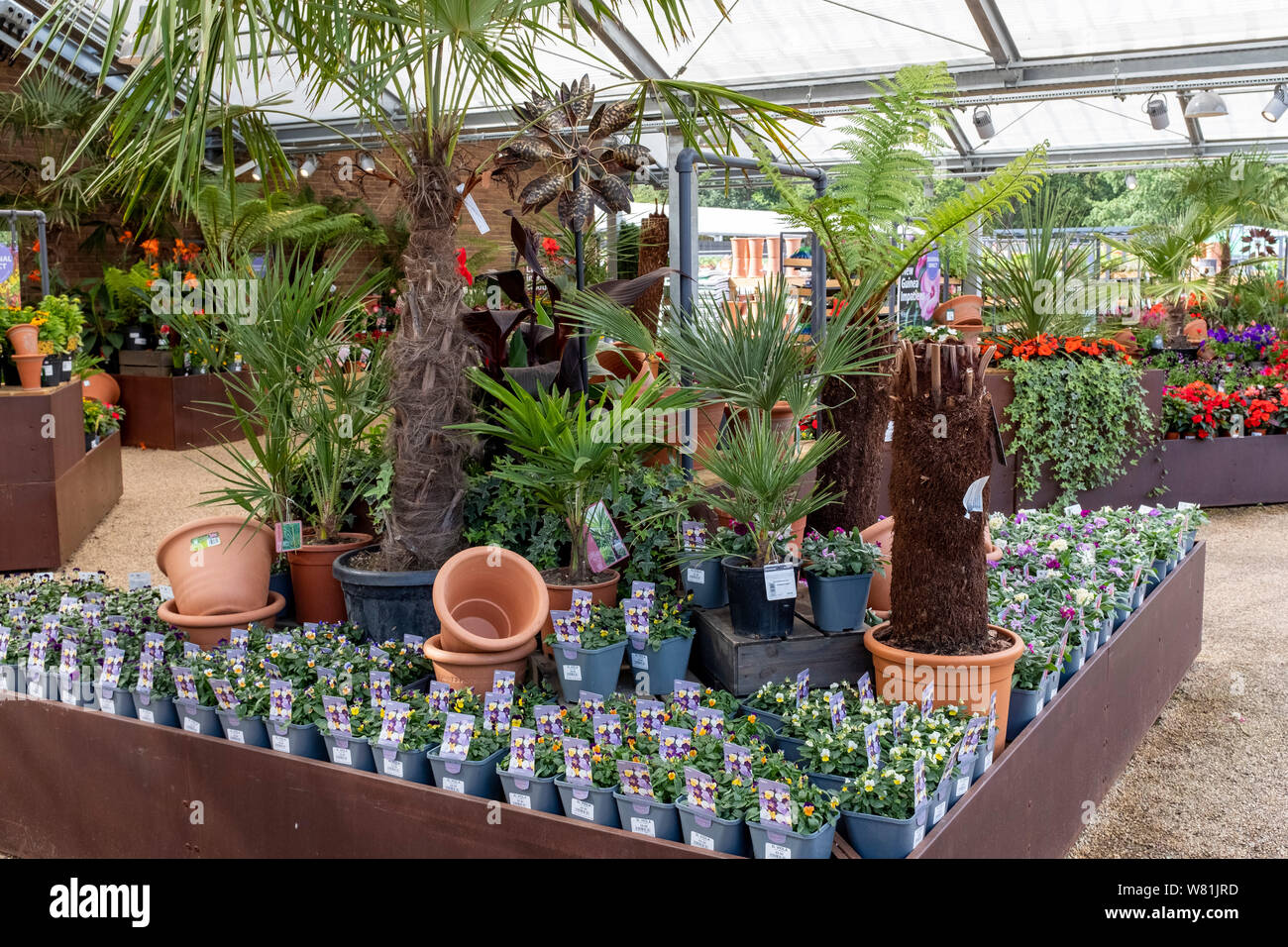 Floral displays at an english garden centre Stock Photo - Alamy
