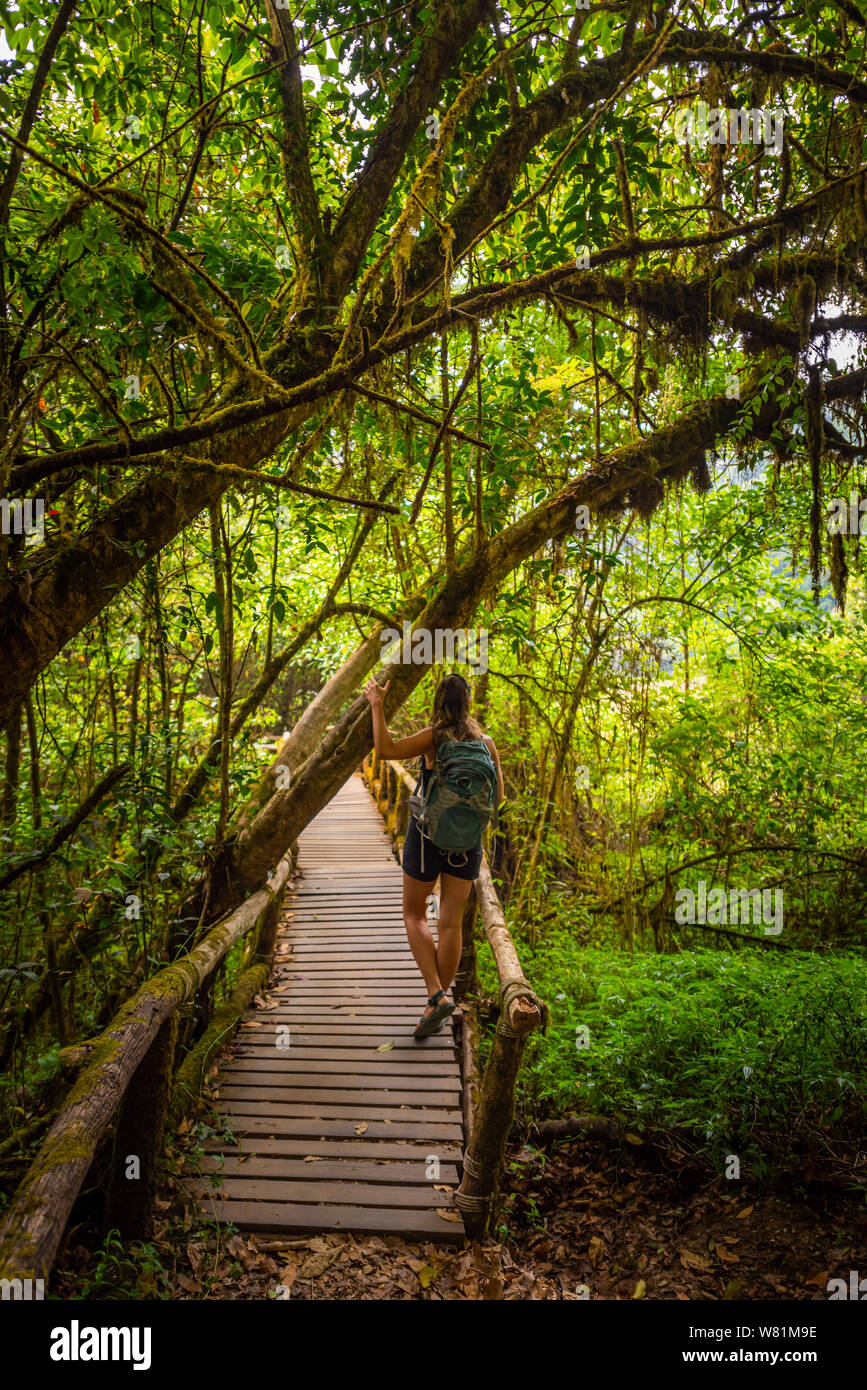 Angka trail in Doi Inthanon National Park near Chiang Mai Thailand ...