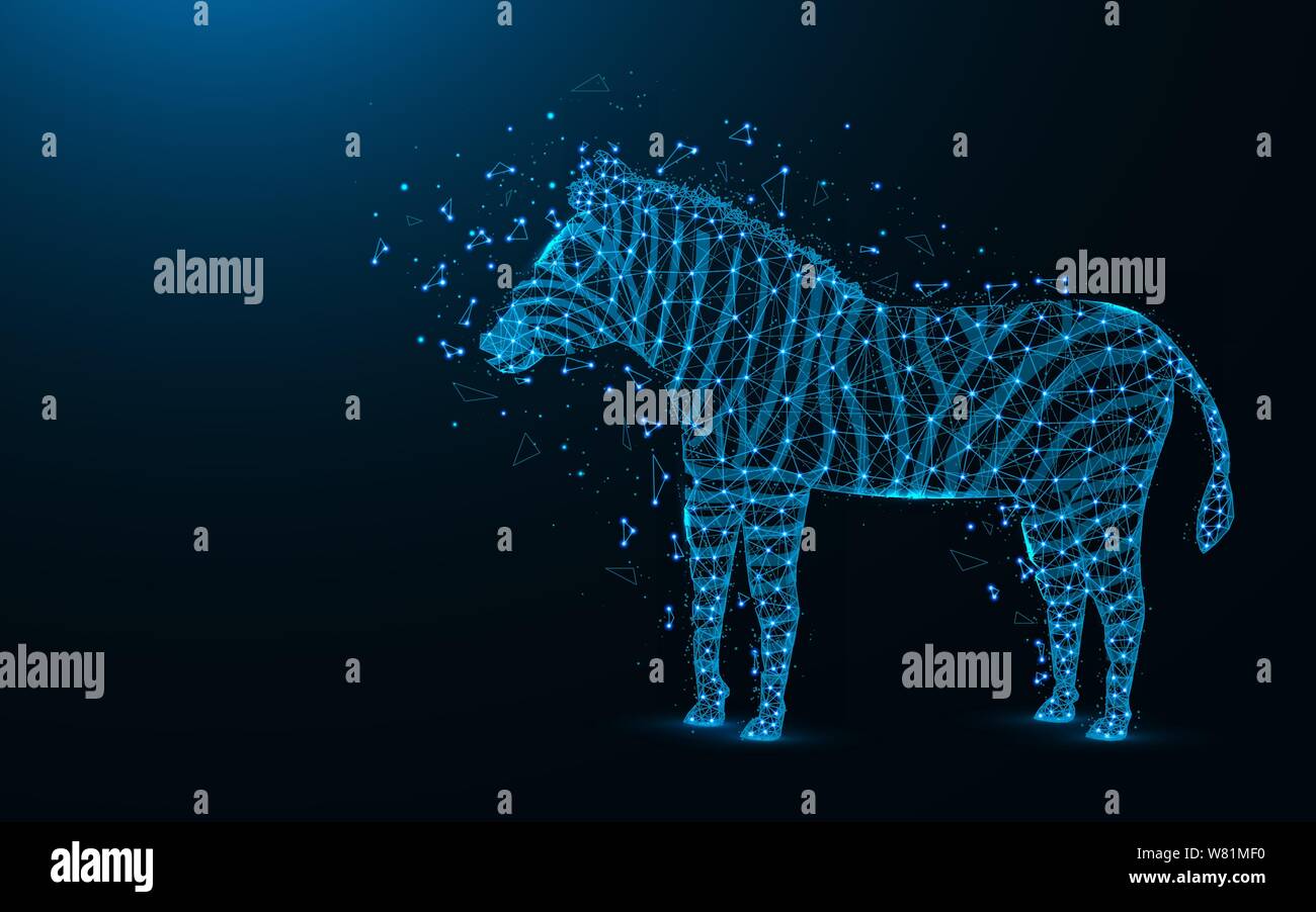 Zebra low poly design, African animal abstract geometric image, zoo ...