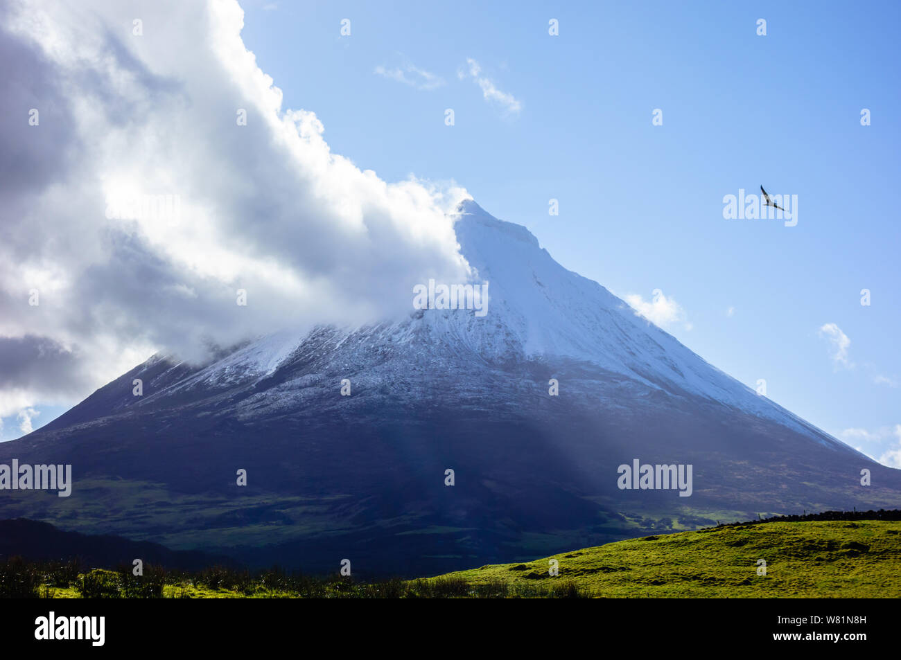 Mount Pico volcano under blue sky with cloud coming off summit and bird ...