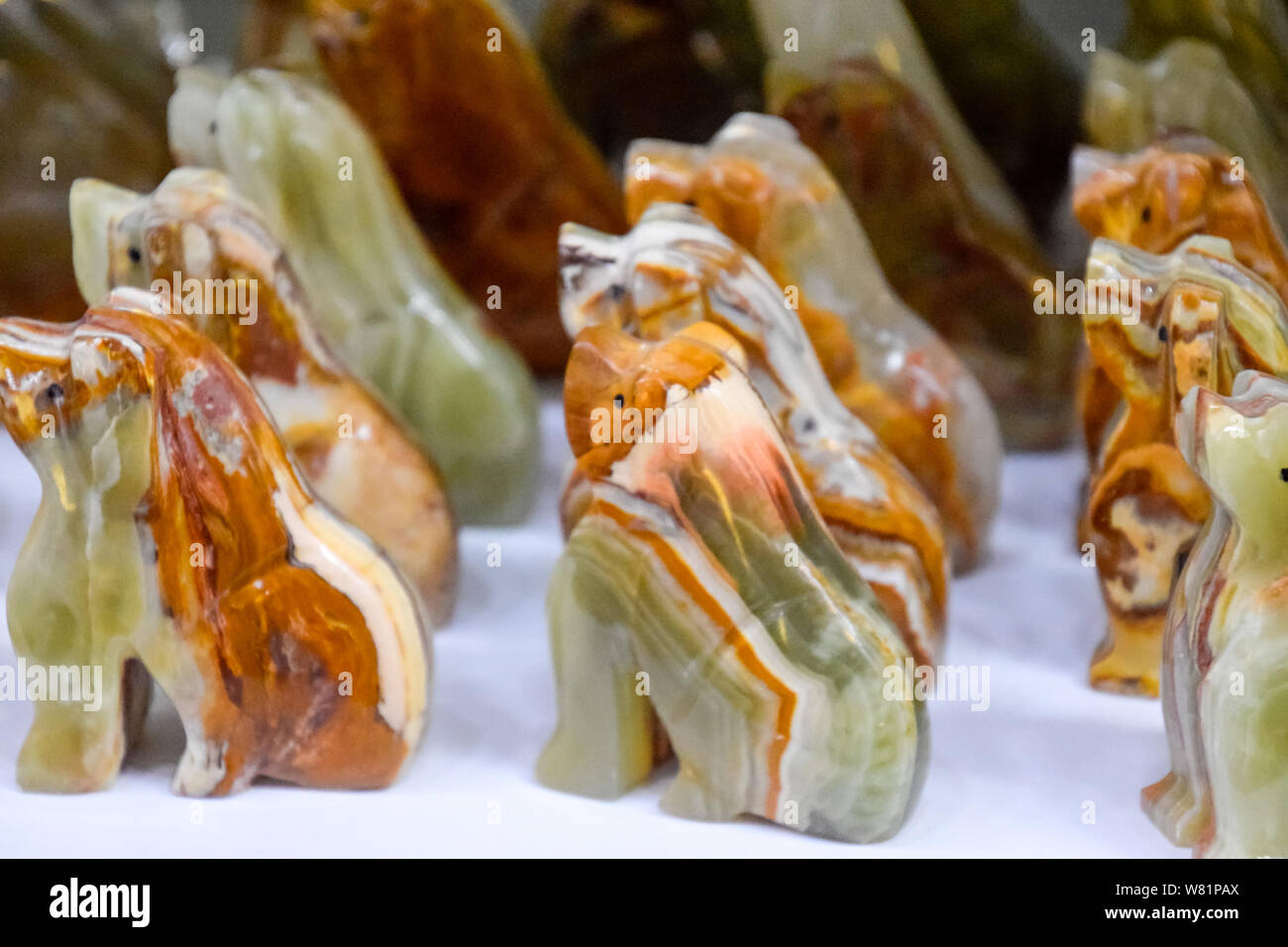 Coil dog hi-res stock photography and images - Alamy