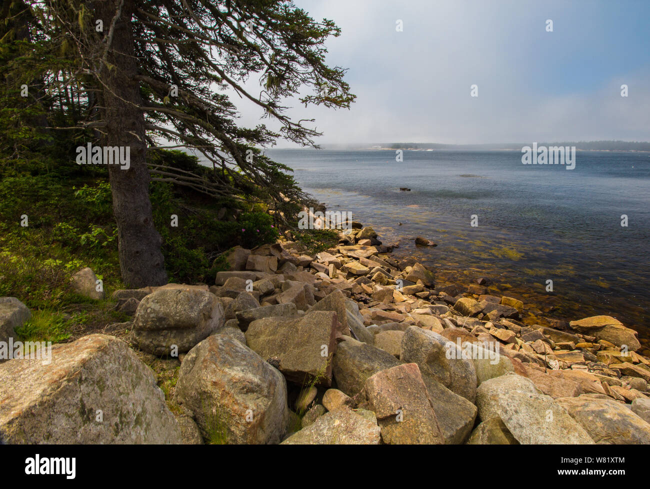Schoodic Peninsula, Acadia National Park, Maine Stock Photo - Alamy