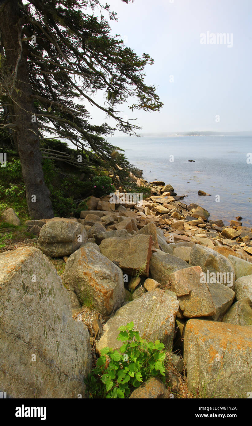 Schoodic Peninsula, Acadia National Park, Maine Stock Photo - Alamy