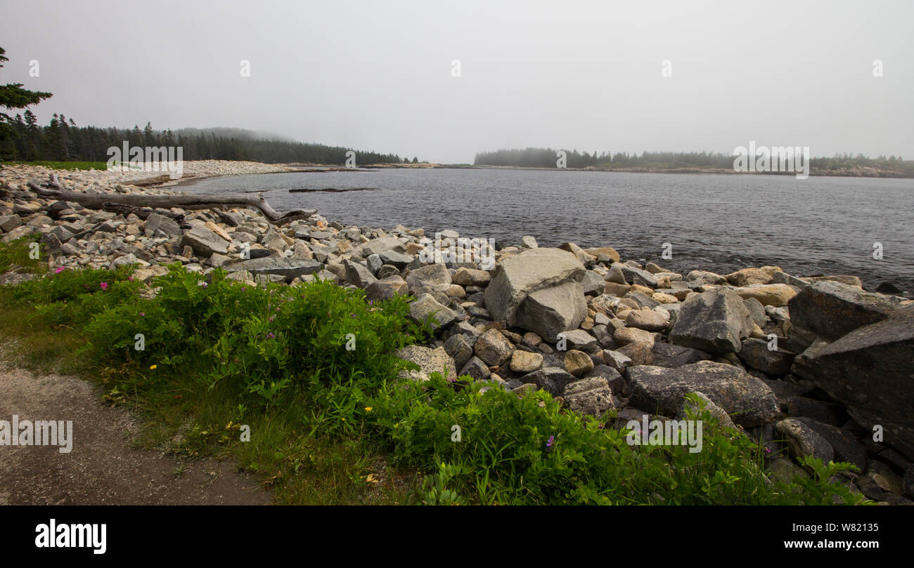 Schoodic Peninsula, Acadia National Park, Maine Stock Photo - Alamy