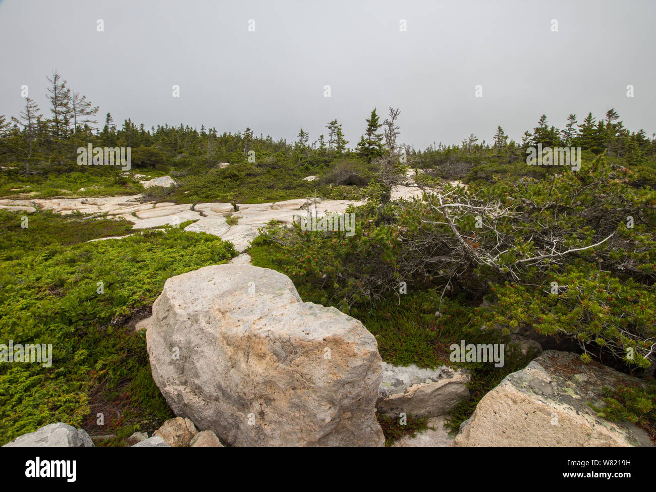 Schoodic Peninsula, Acadia National Park, Maine Stock Photo - Alamy