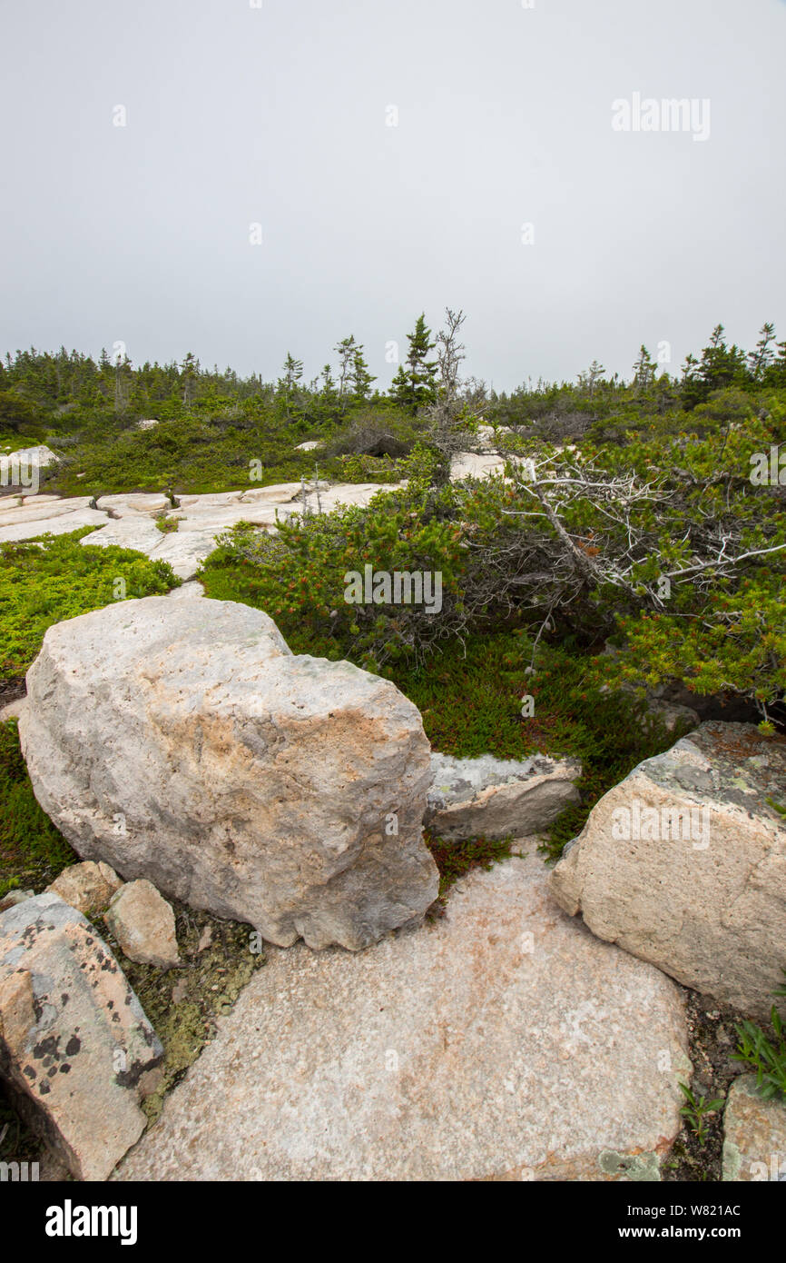 Schoodic Peninsula, Acadia National Park, Maine Stock Photo - Alamy