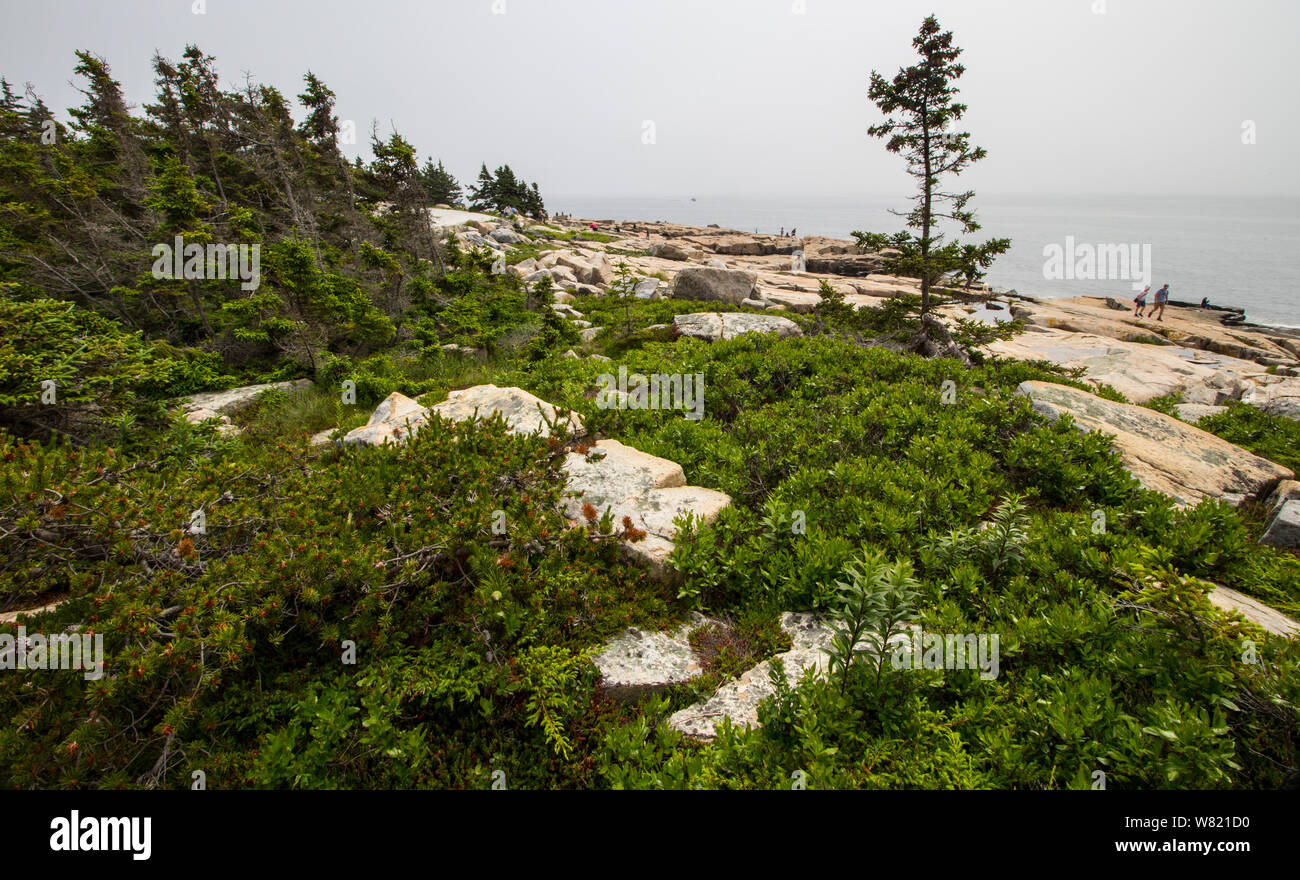 Schoodic Peninsula, Acadia National Park, Maine Stock Photo - Alamy