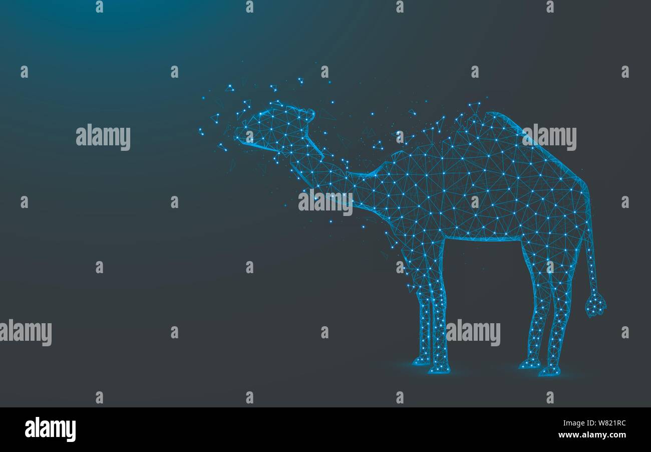 Camel low poly design, African animal abstract geometric image, zoo ...