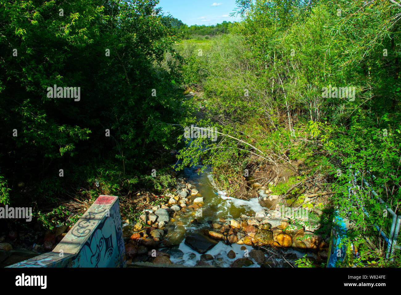 Urban Meets Nature Stock Photo - Alamy