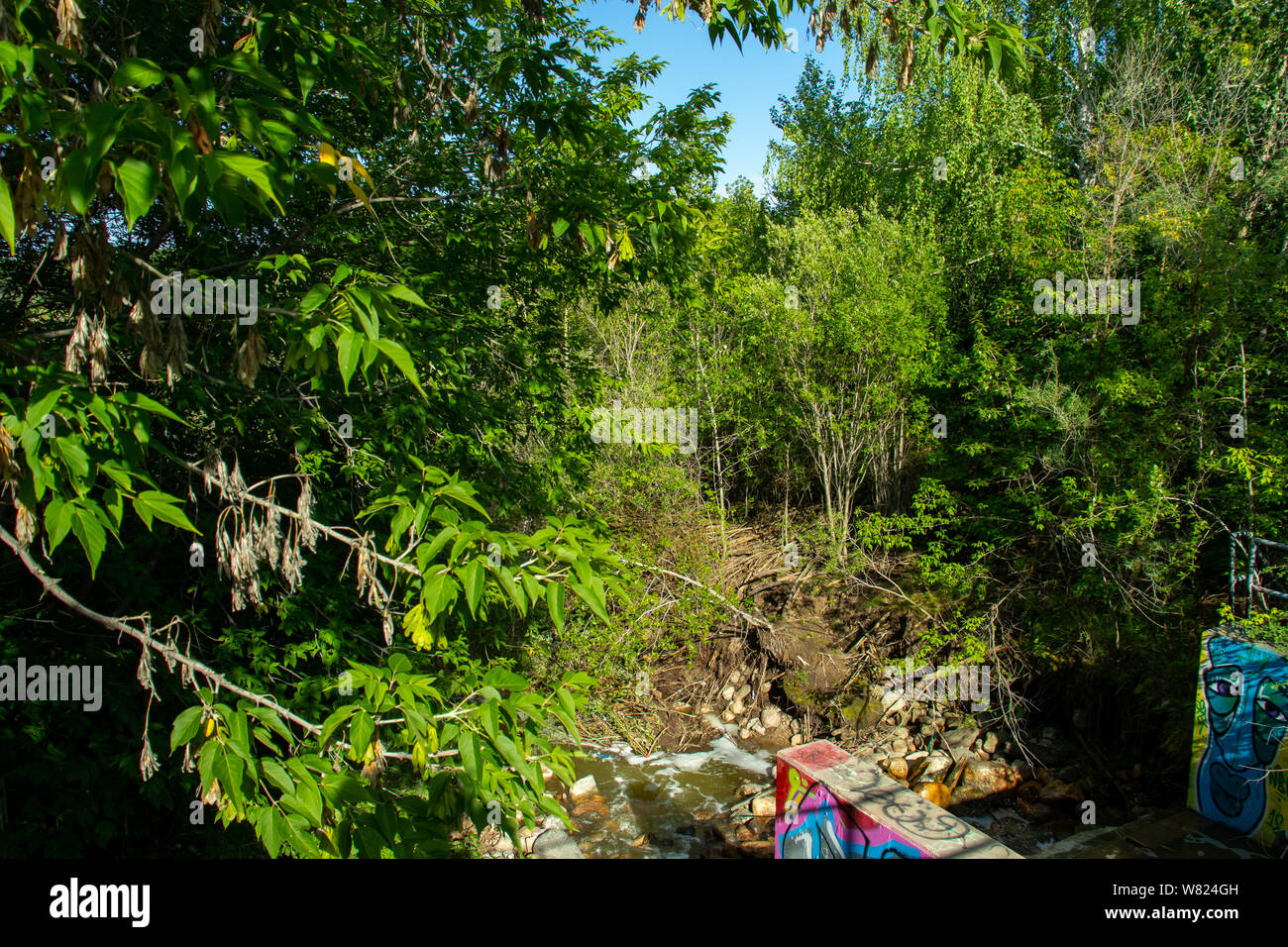 Nature meets urban hi-res stock photography and images - Alamy