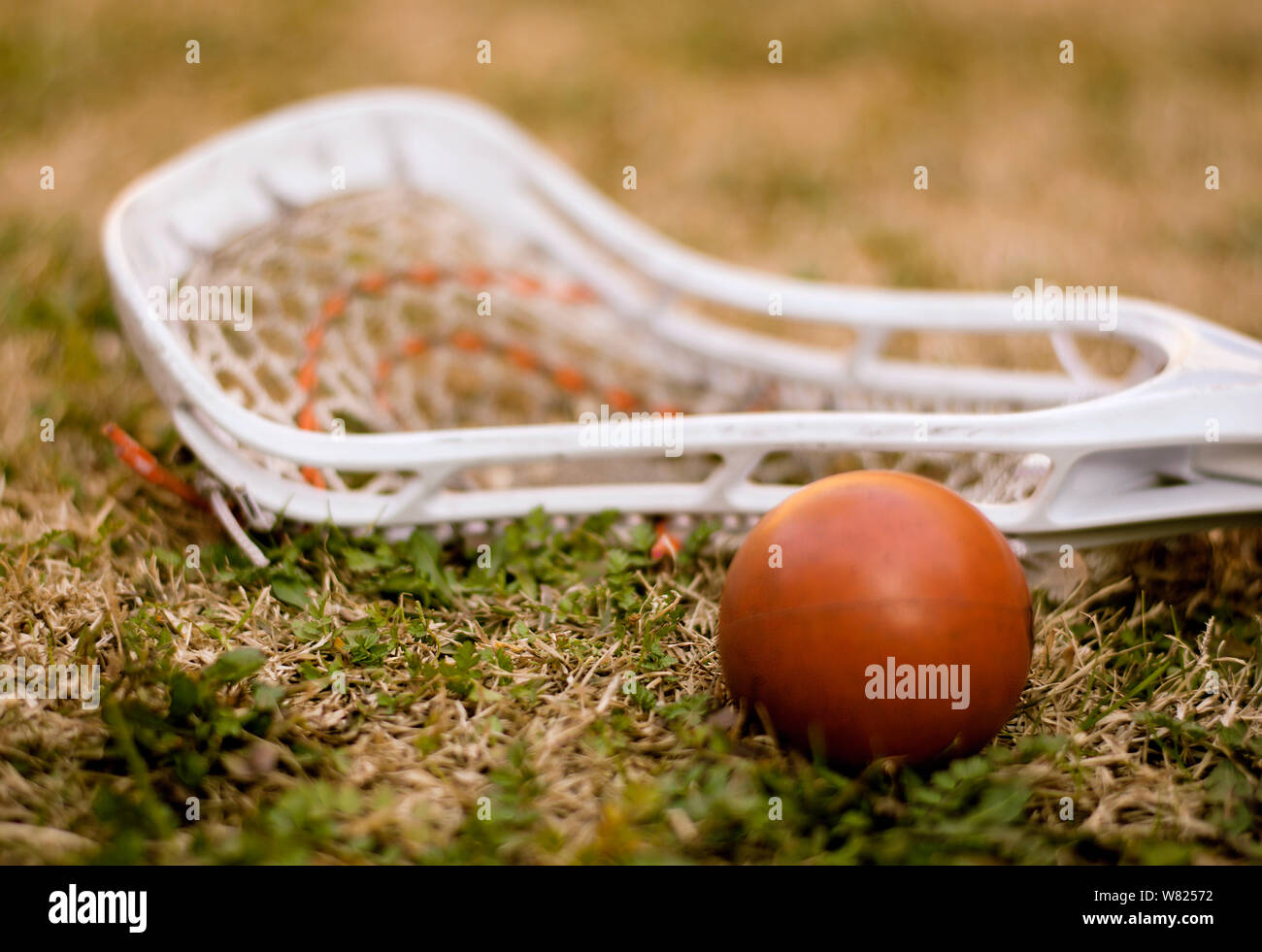 stick and ball in the grass Stock Photo - Alamy