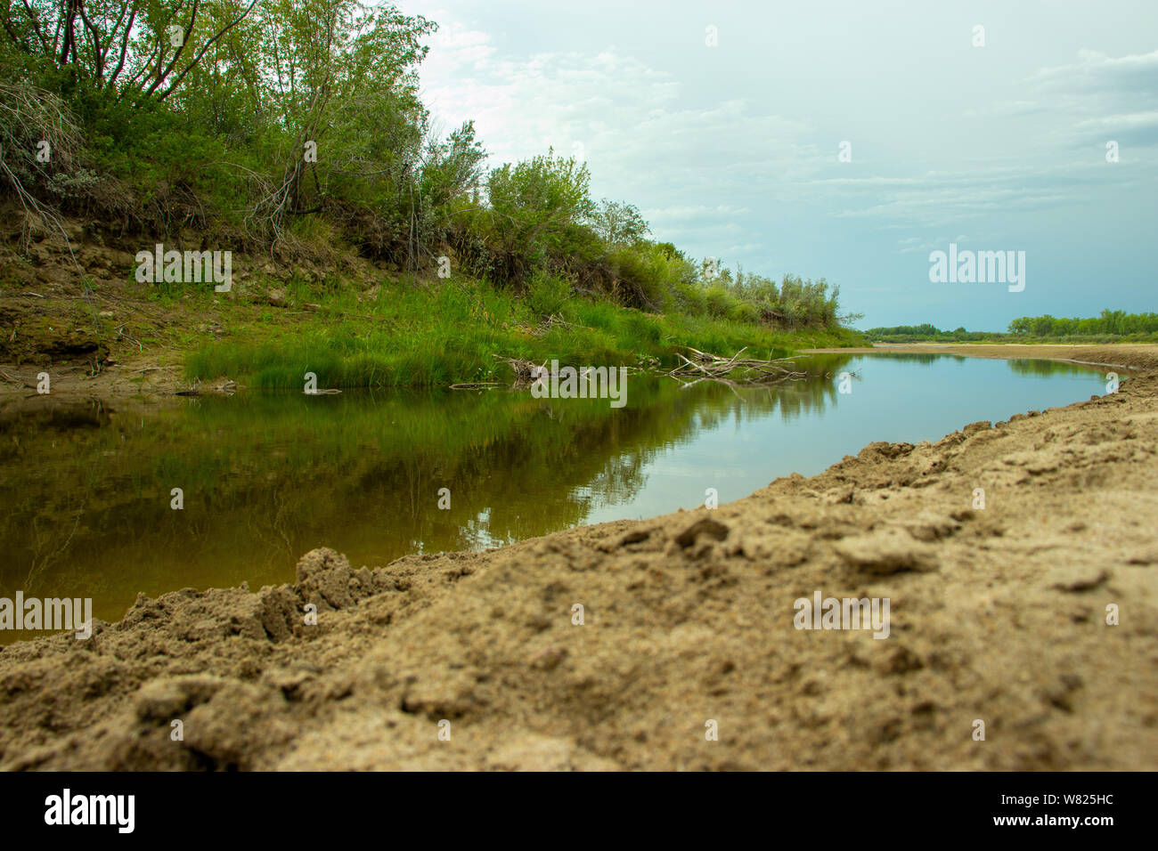 Summer evening by the South Saskatchewan River in Saskatchewan Canada ...