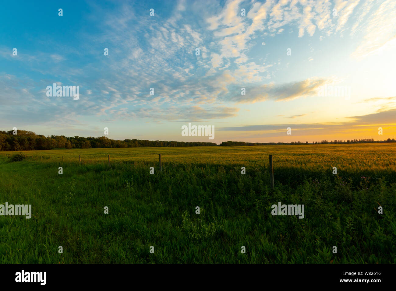 Beautiful prairies hi-res stock photography and images - Alamy
