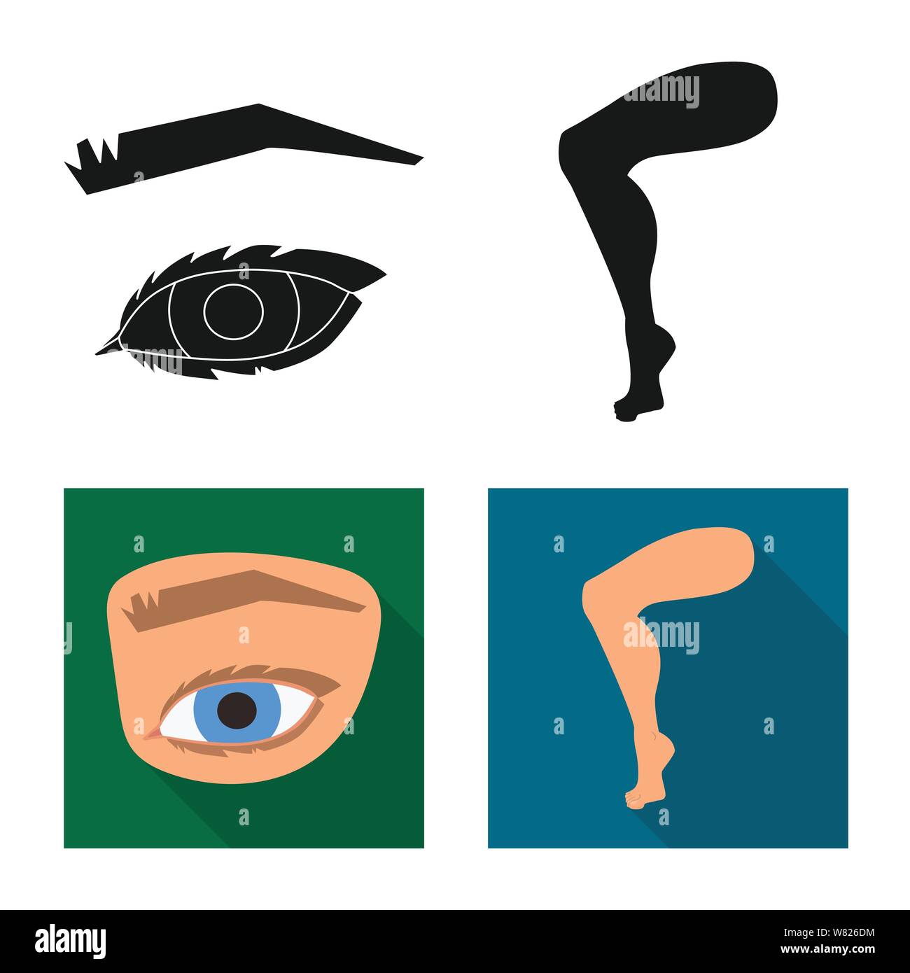 Vector design of body and part sign. Set of body and anatomy stock ...