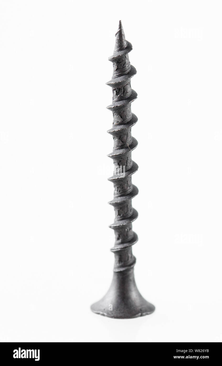 Screws still life large self tapping screws on white background Stock ...