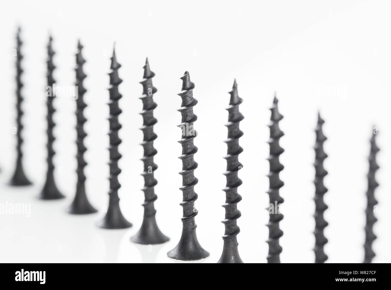 Screws still life large self tapping screws on white background Stock ...