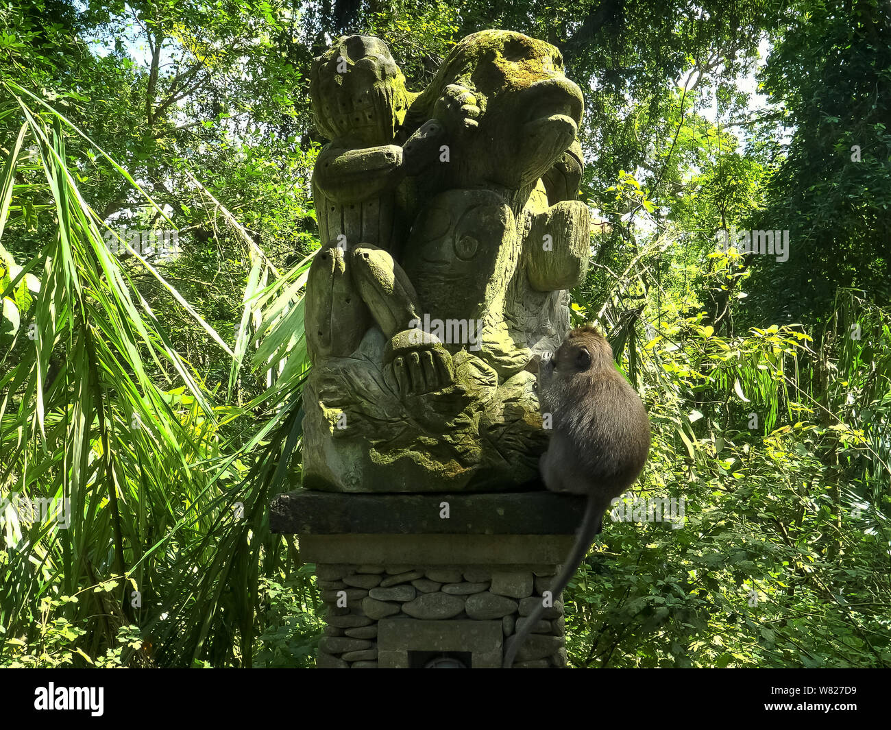 macaque on monkey statue at the ubud monkey forest, bali Stock Photo ...