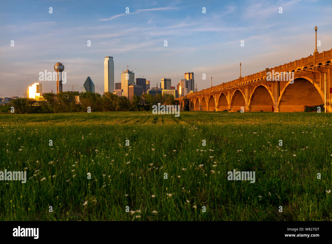 Beautiful view of downtown Dallas, Texas from a grassy meadow on the ...