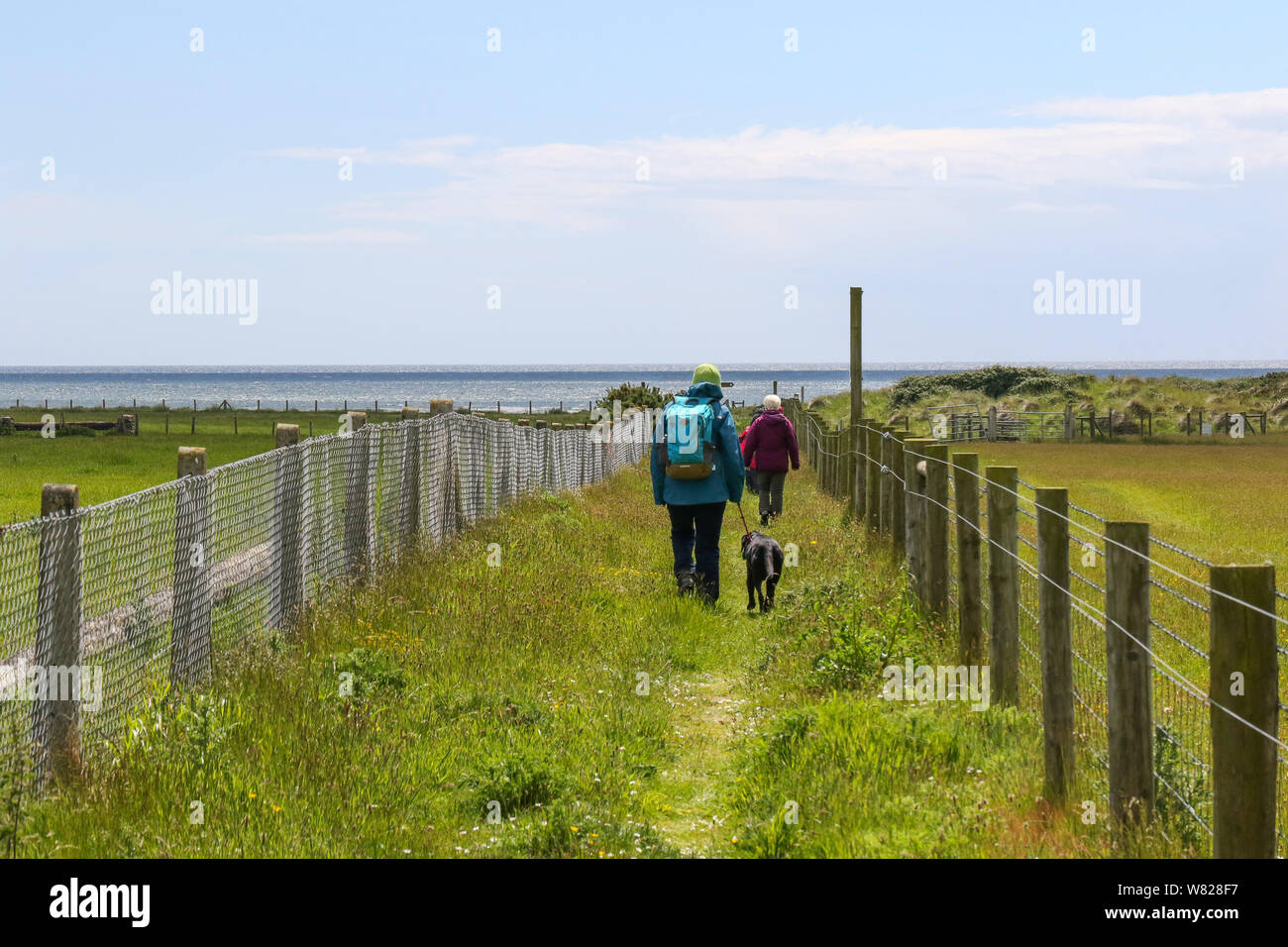 Walkers ballykinler coastal path hi-res stock photography and images ...