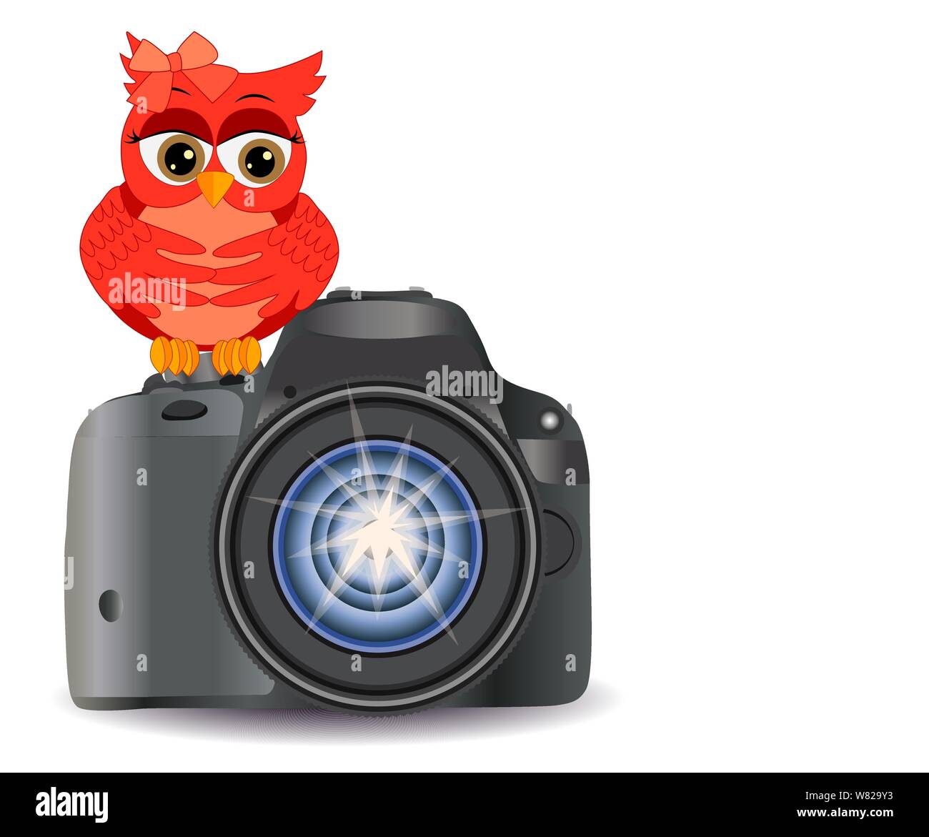 Owl sits on the button Start realistic, modern camera, isolated on ...