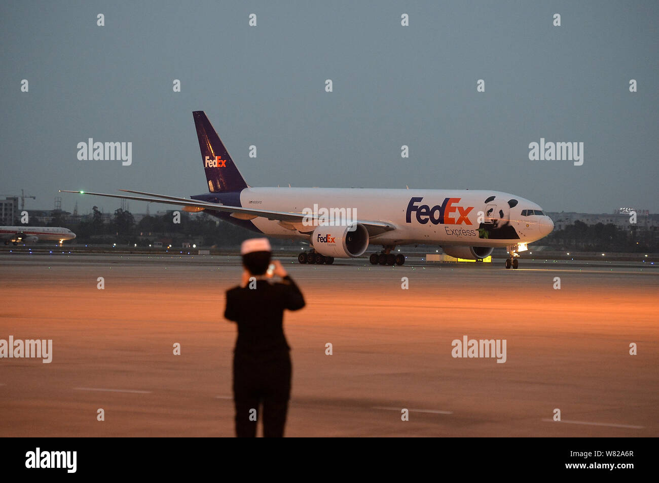 The FedEx Boeing 777 jet plane painted with picture of a giant bamboo ...