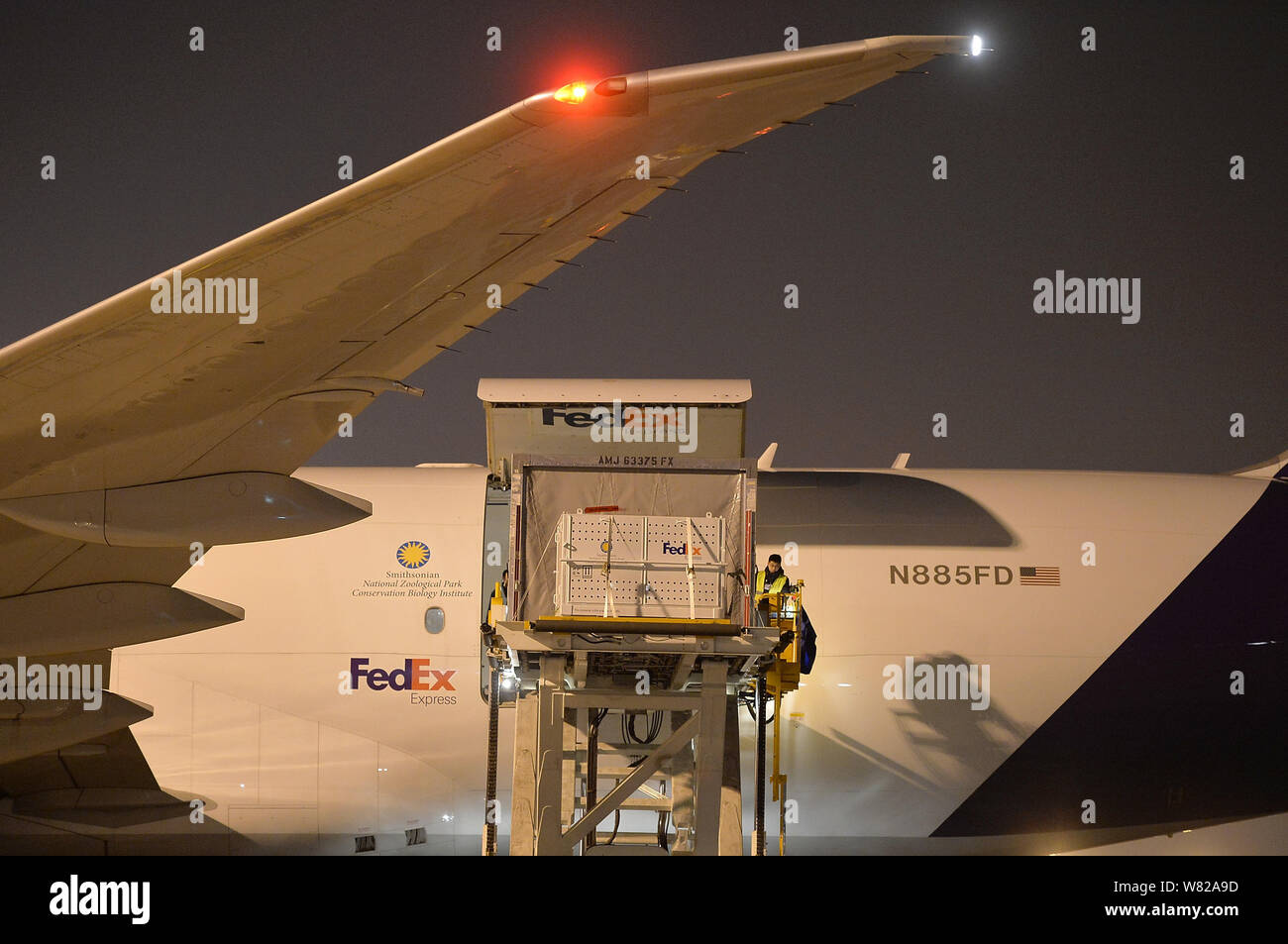 The three-year-old American-born giant panda Bao Bao is being unloaded ...