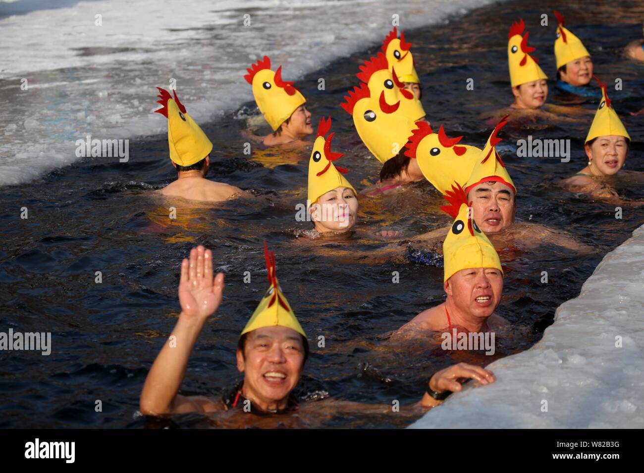 Chinese winter swimmers dressed as roosters swim in the icy water to ...