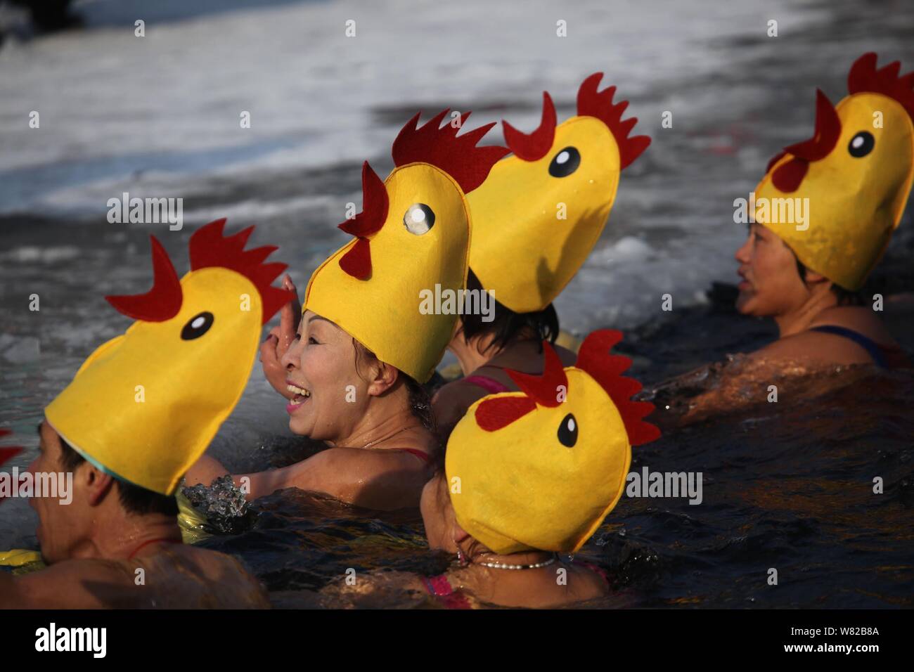 Chinese winter swimmers dressed as roosters swim in the icy water to ...