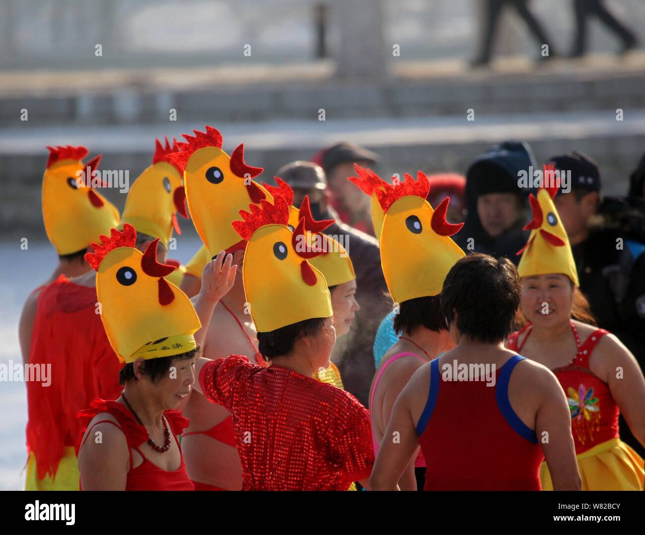 Chinese winter swimmers dressed as roosters perform before swimming in ...
