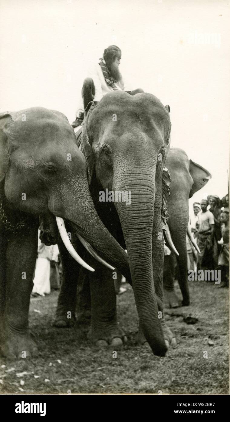 Ceylon, Colombo, Sri Lanka. People, festivals, Dagoba and other Temples ...