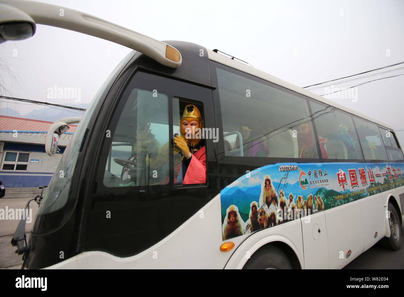 Monkey bus hi-res stock photography and images - Alamy