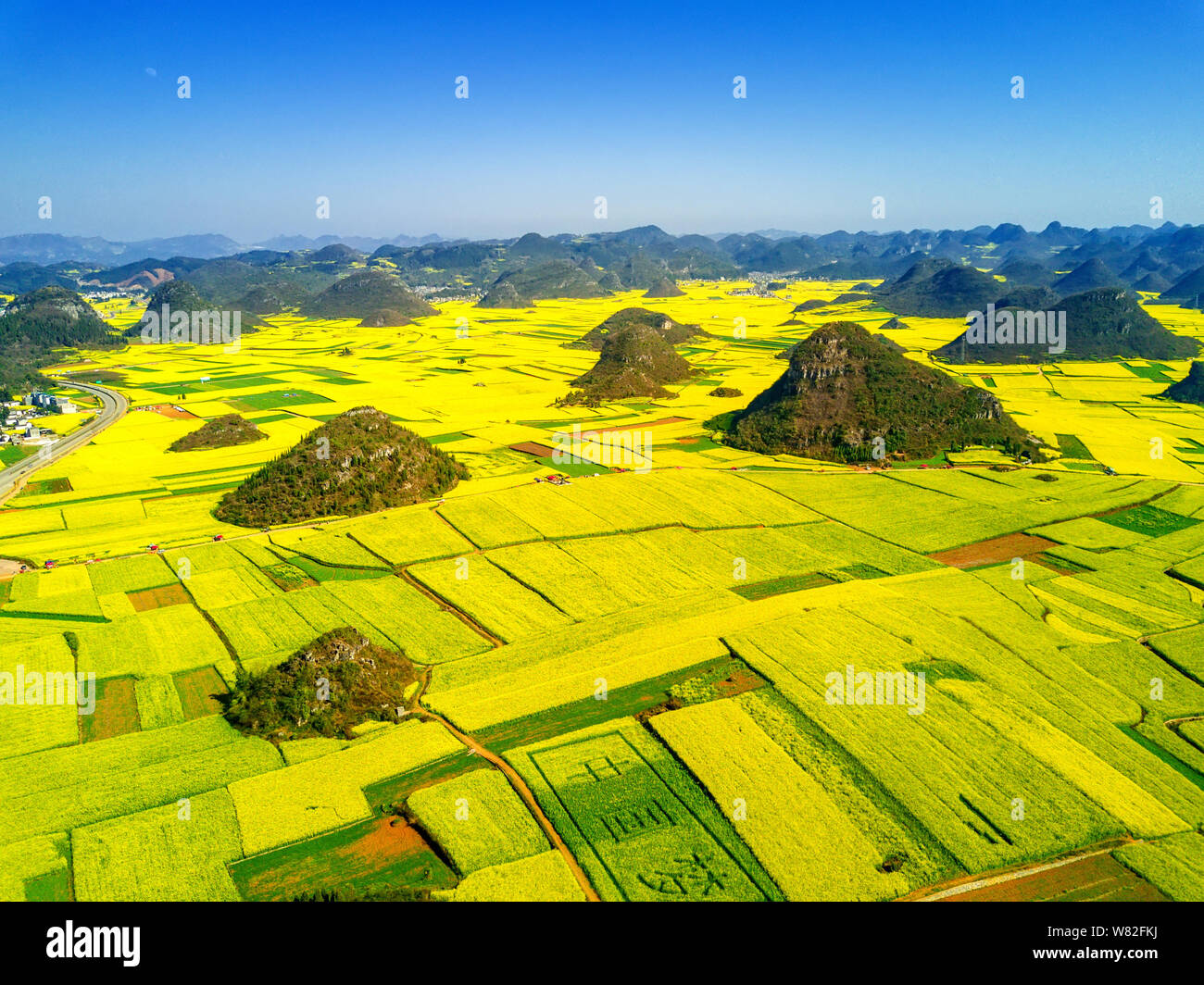 Aerial view of rapeseed fields in Luoping county, Qujing city ...