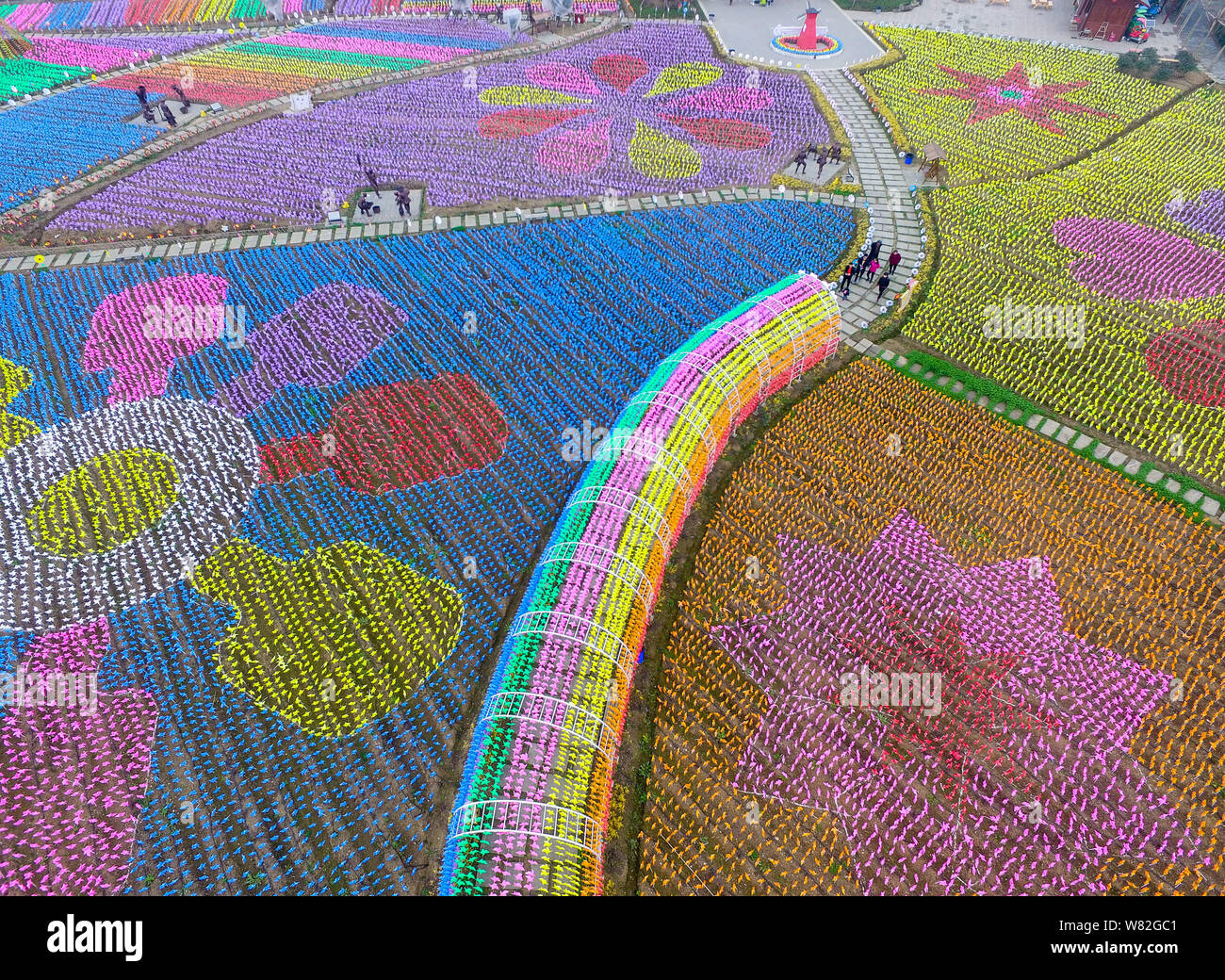 Aerial view of colorful patterns made of pinwheels in a farm field in ...