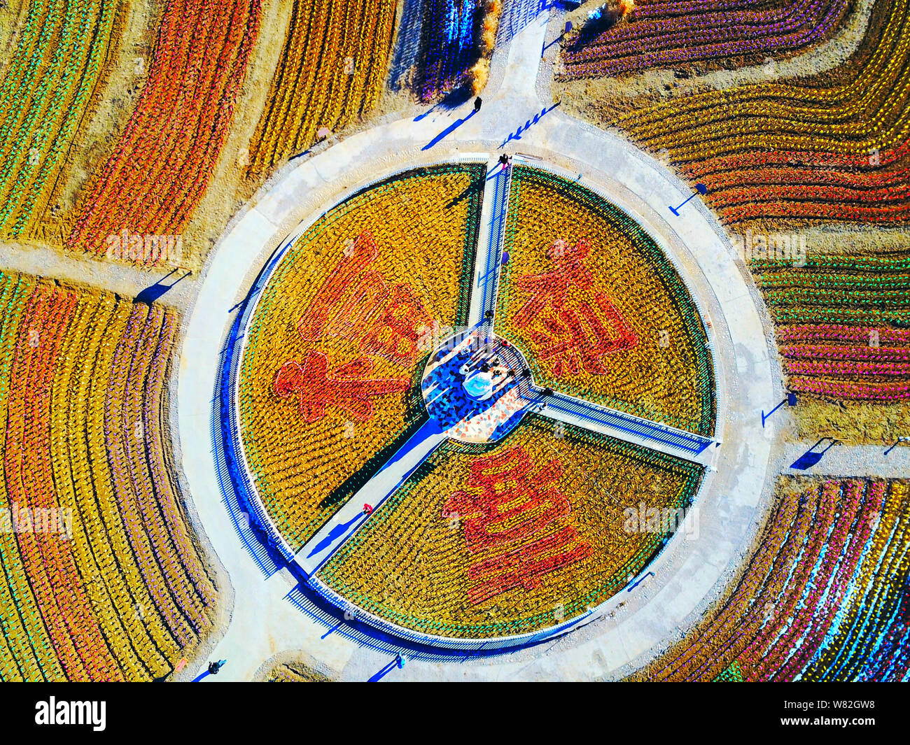 Field with pinwheels hi-res stock photography and images - Alamy