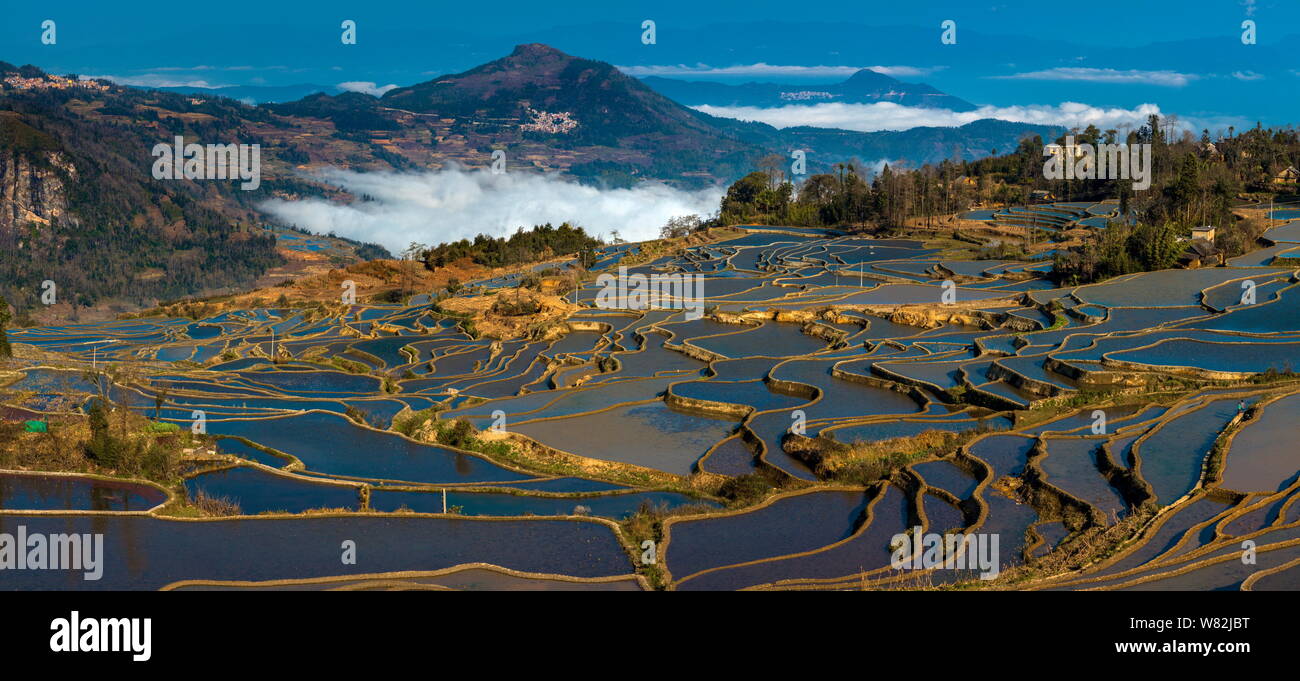 Landscape of terraced rice fields of the Honghe Hani Rice Terraces, one ...
