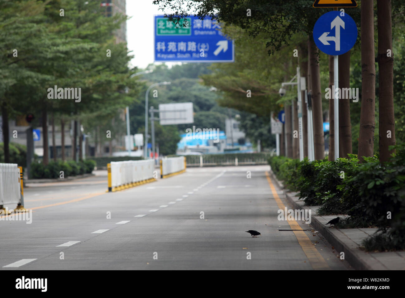 View of an empty street during the Chinese Lunar New Year, also known ...