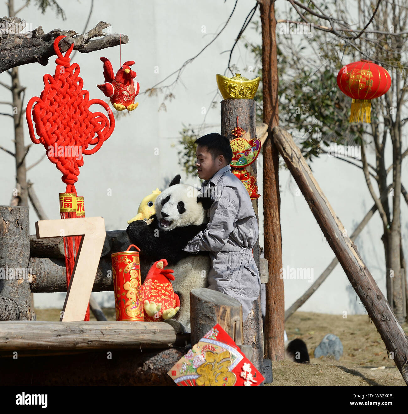 A Chinese employee carries a giant panda cub at the Shenshuping ...