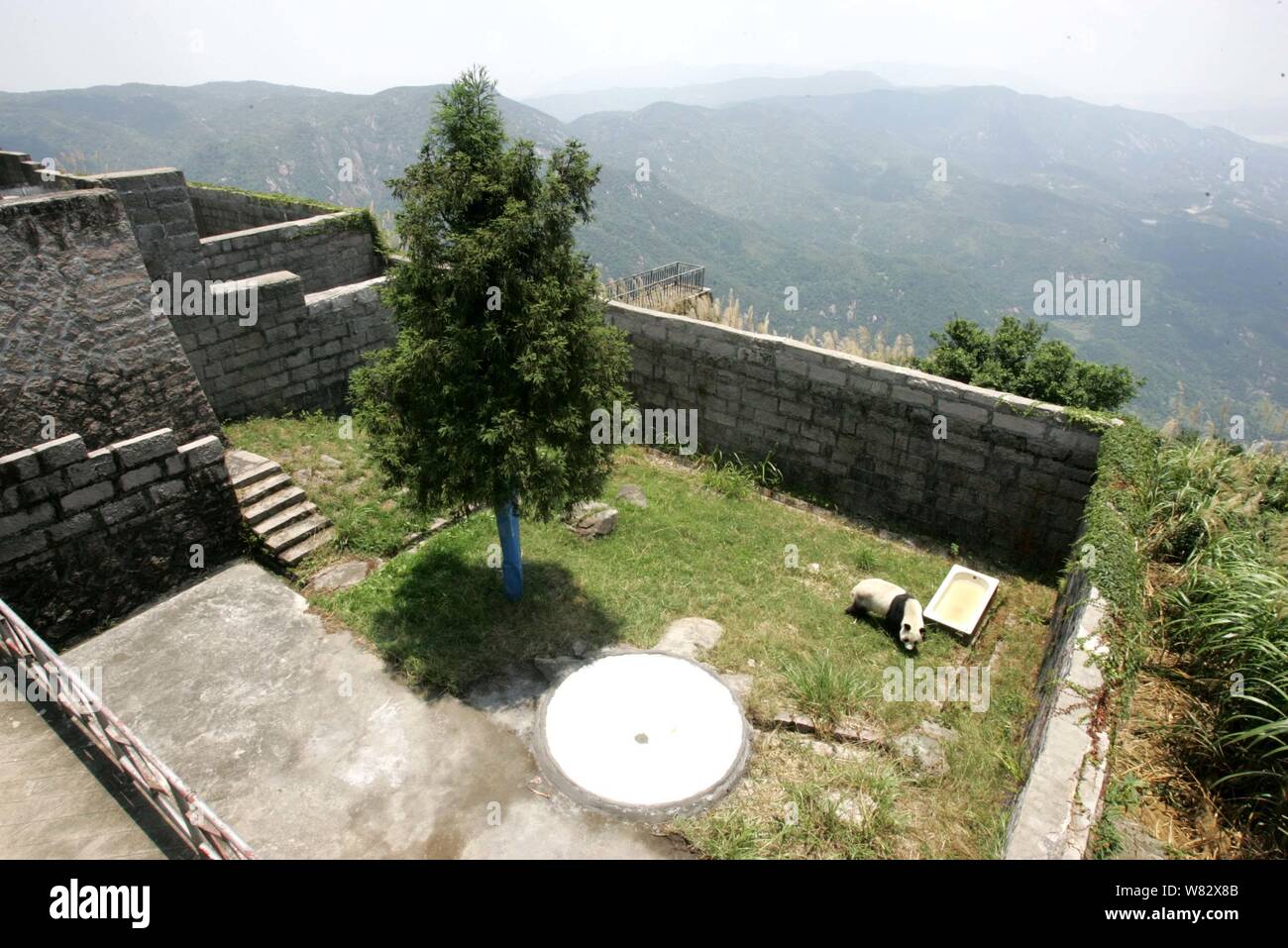 --FILE--The world's eldest giant panda Basi spends her holiday at ...